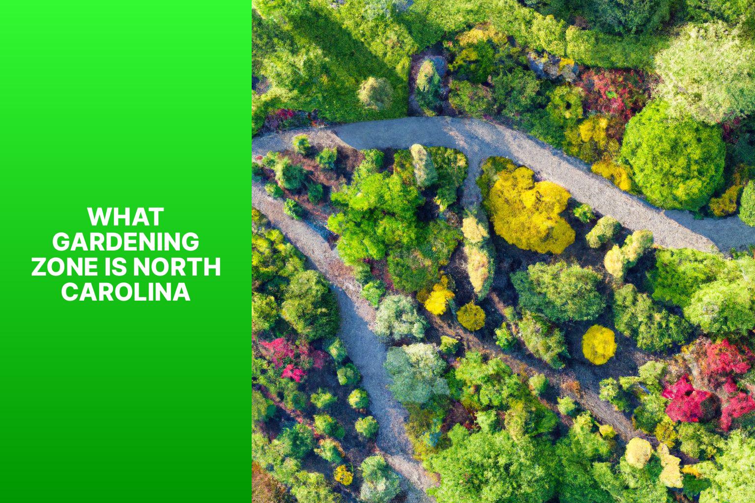 Discover Your Gardening Zone in North Carolina for Optimal Planting ...
