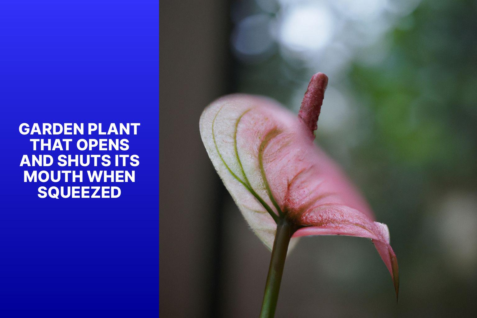 Garden Plant That Opens And Shuts Its Mouth When Squeezed - Gardening Gains