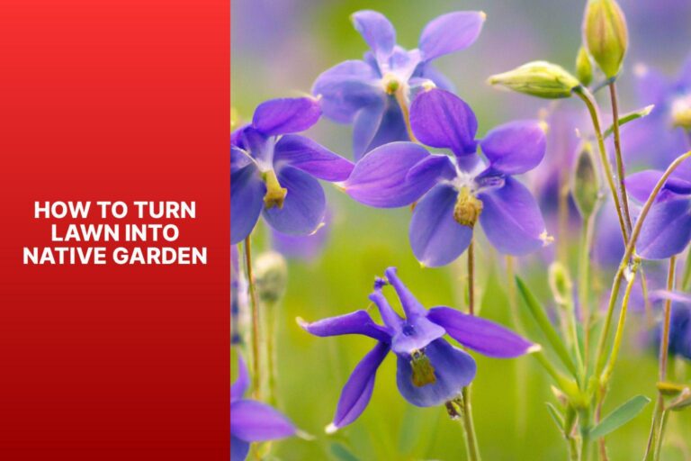 How To Turn Lawn Into Native Garden - Gardening Gains