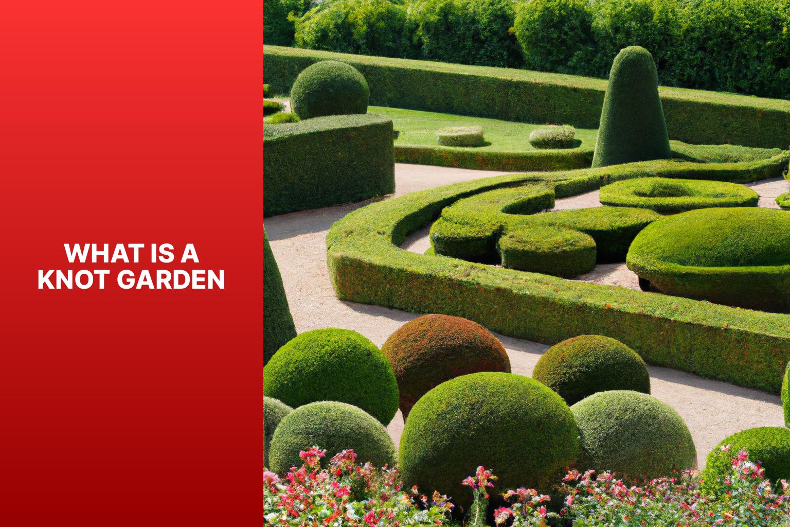 What Is A Knot Garden - Gardening Gains